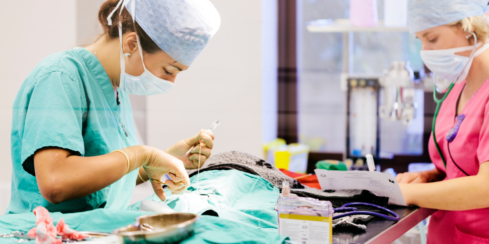 General Surgical Kits from Vet Set: A Convenient Solution for Smaller